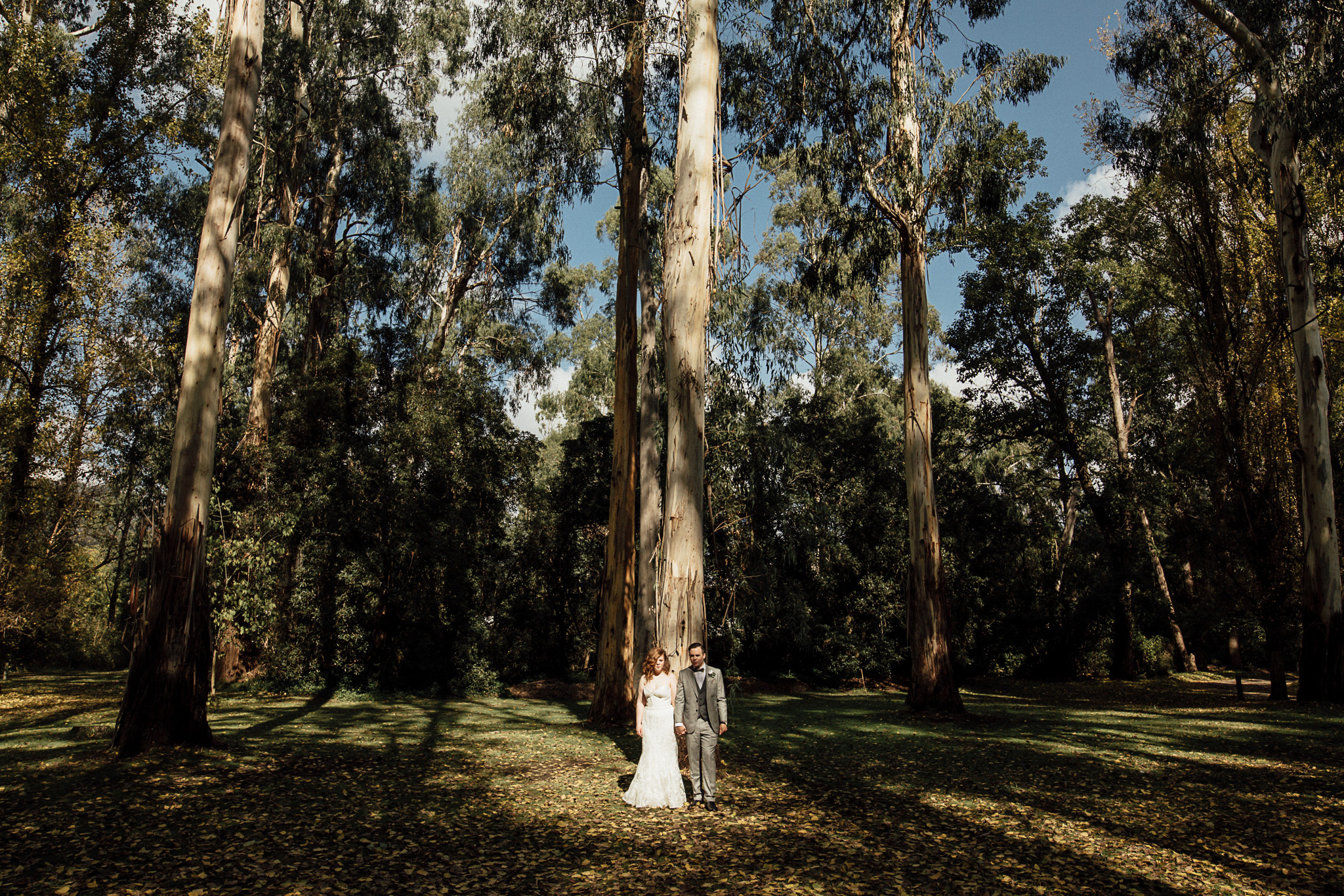 Ashlyn & Michael | Free the Bird