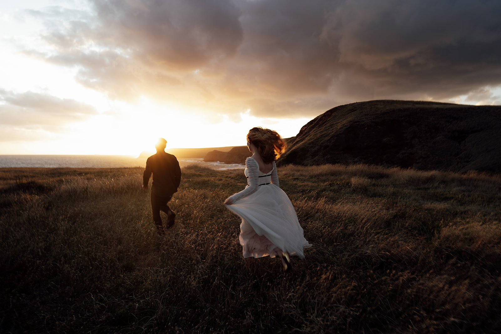 Free The Bird || Portfolio